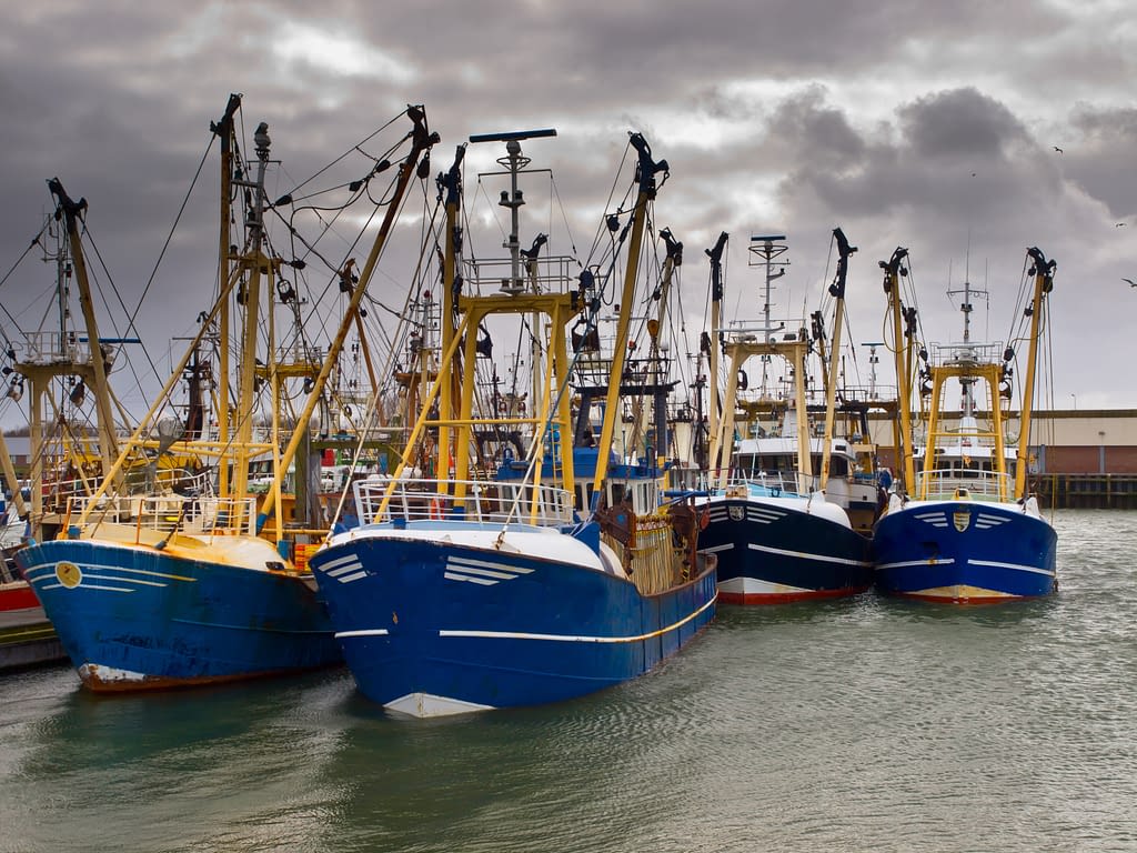Modern Fishing Fleet Ibainc modern-fishing-fleet-ibainc